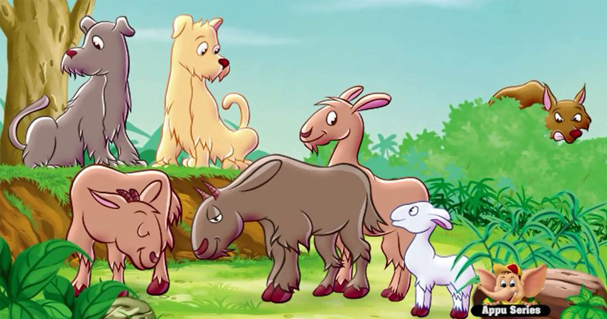 The Clever Kid Goat | eJOY English