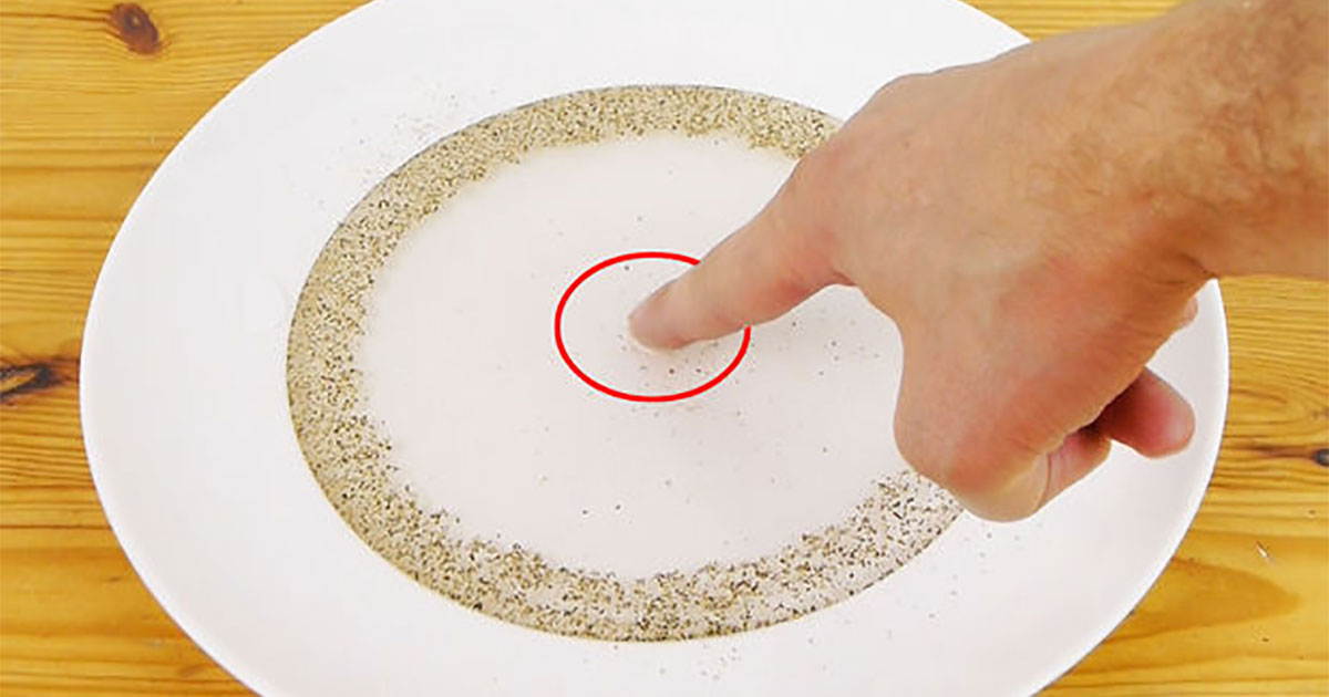 Pepper Scatter Trick | eJOY English