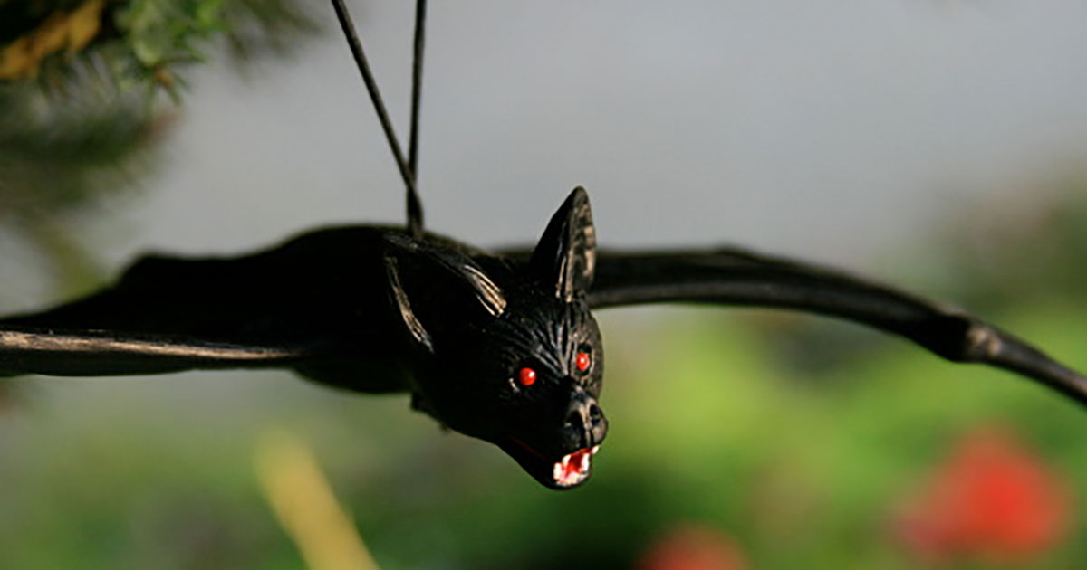 Scary Bats | eJOY English